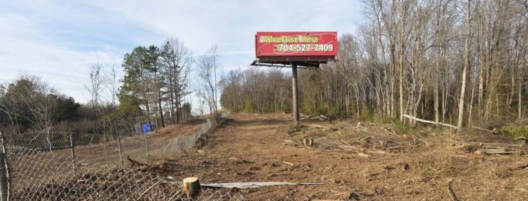 Tree Extinction and the Importance of Native Species | Scenic America