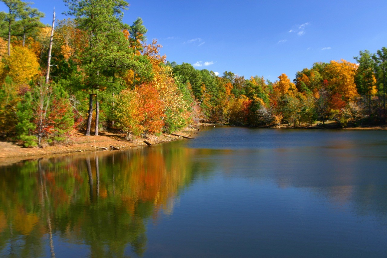 Top Picks for Fall Foliage Viewing from Scenic America | Scenic America