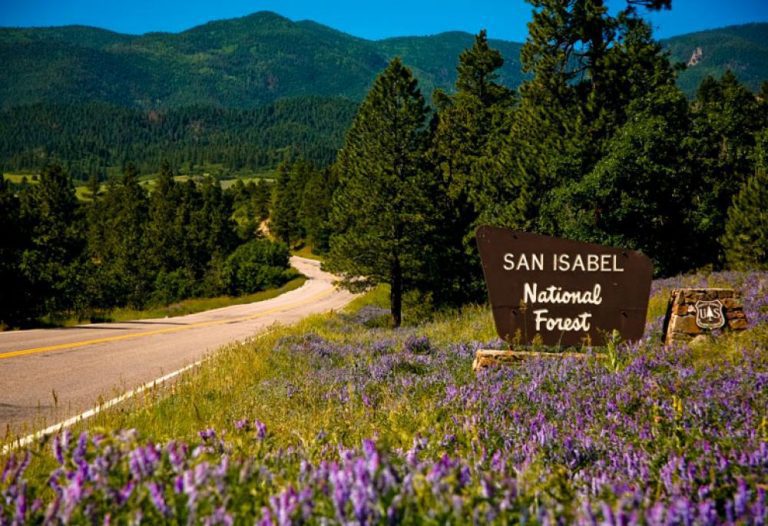 Scenic Byways: More than Just Scenic Drives | Scenic America