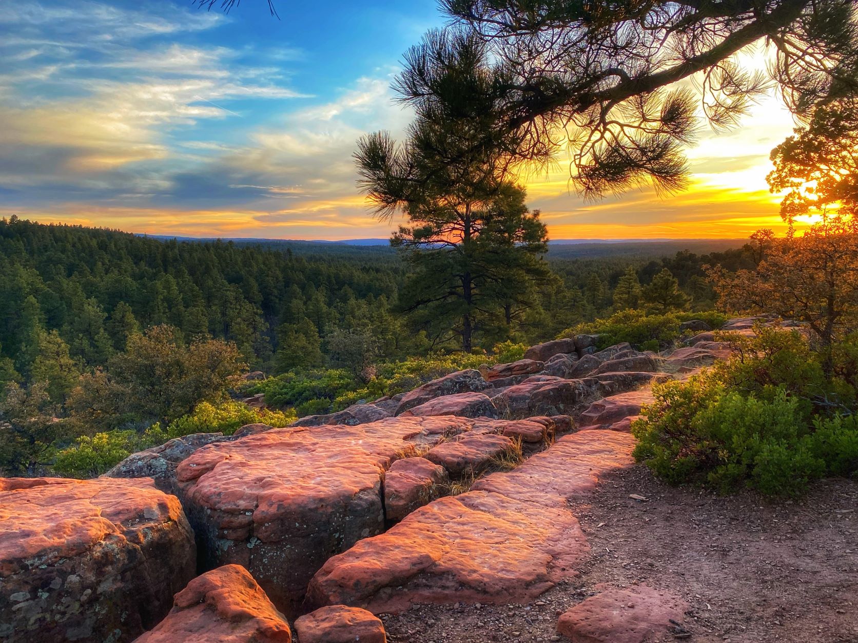 Winners of 2021 America the Beautiful Photo Contest Announced | Scenic ...