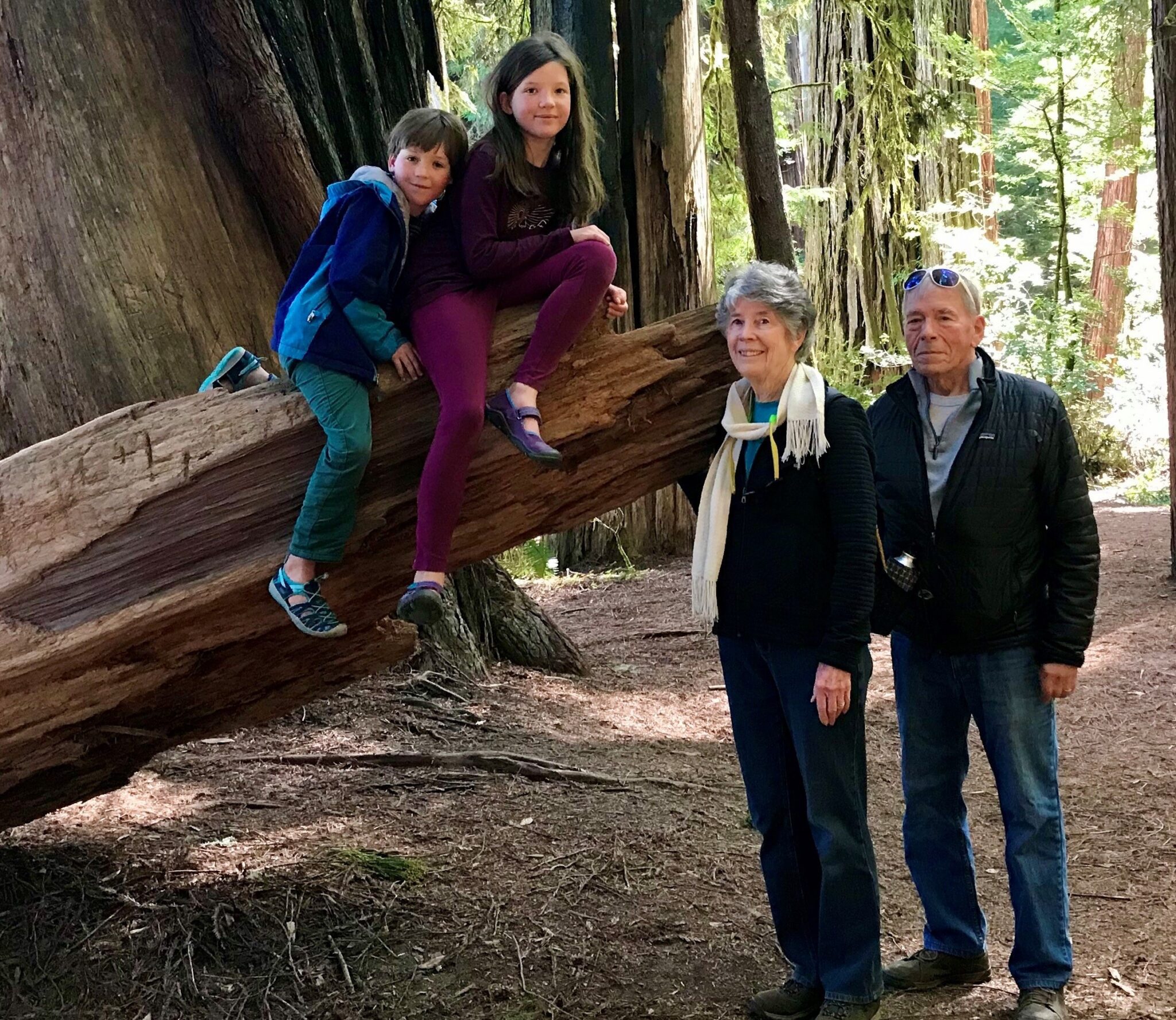 Scenic Heroes: Sally Oldham | Scenic America