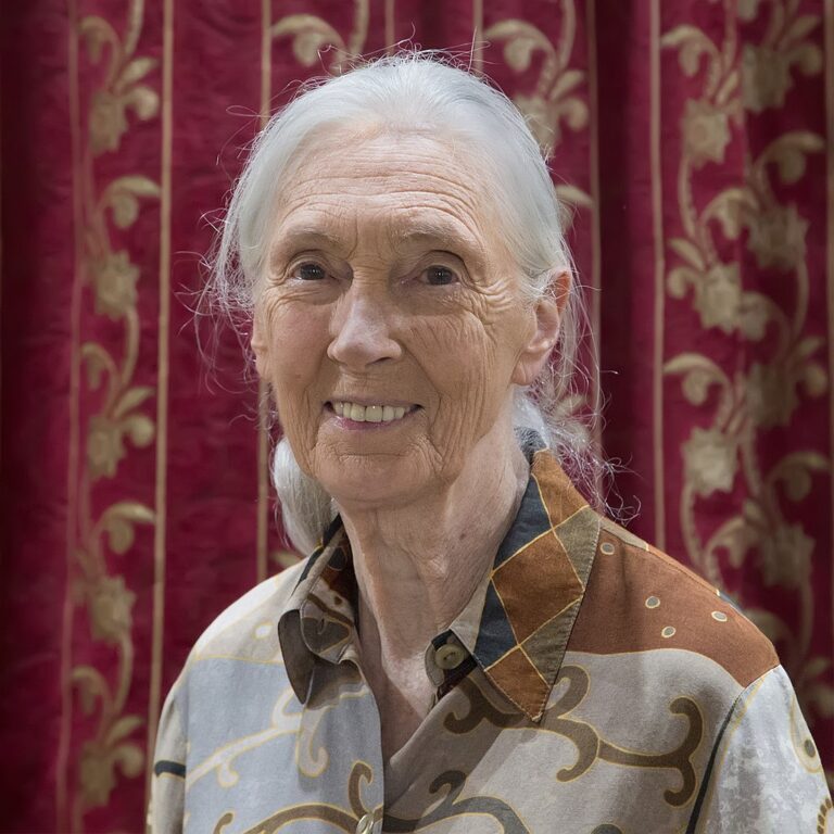 Women of Environmental Science, Conservation, and Historic Preservation ...
