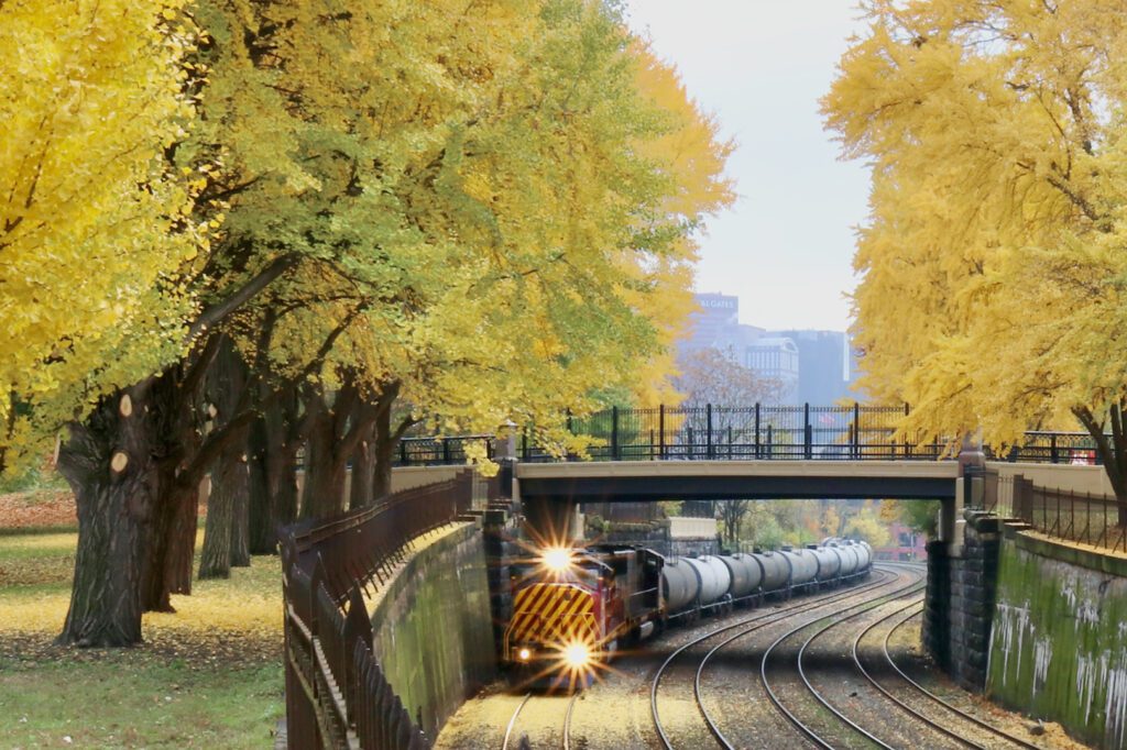 Scenic America's 2023 America the Beautiful Photo Contest Winners ...