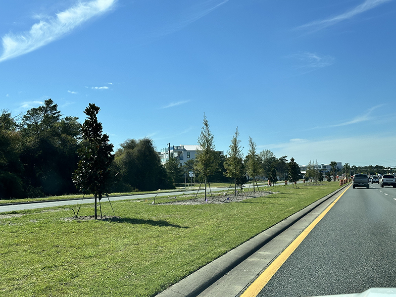 West and East US 98 Gateway Landscape Projects | Scenic America